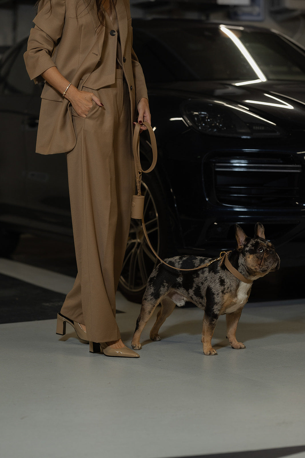 Perro Collection