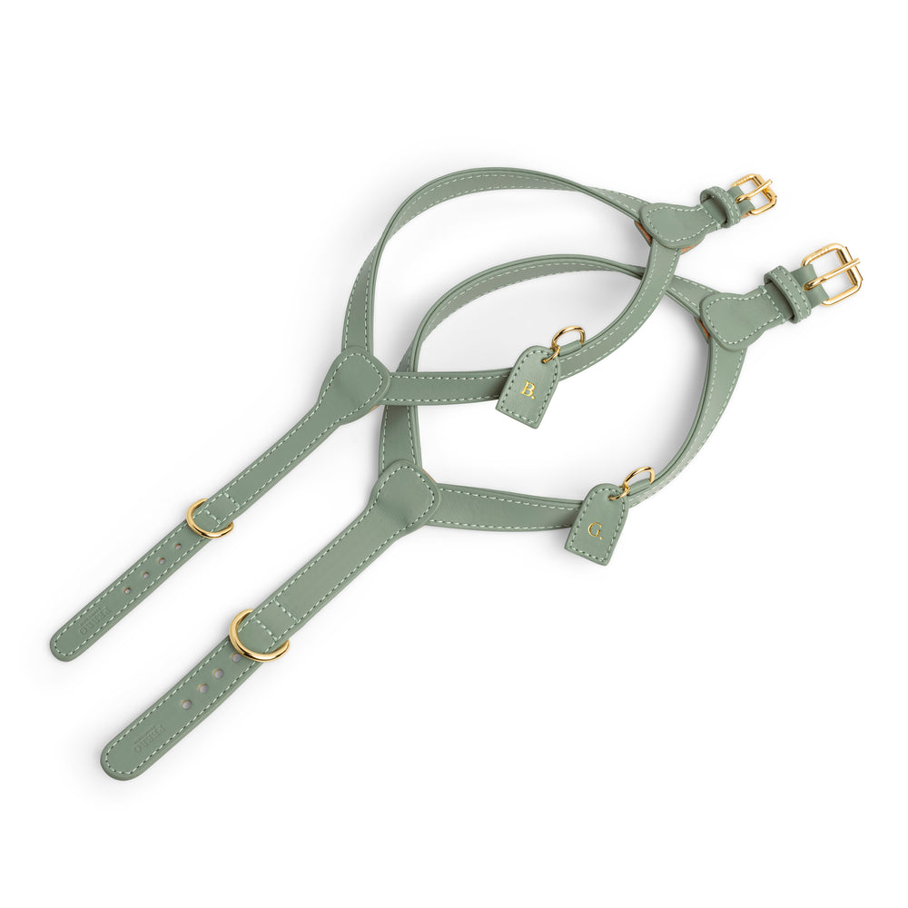 Sage harness